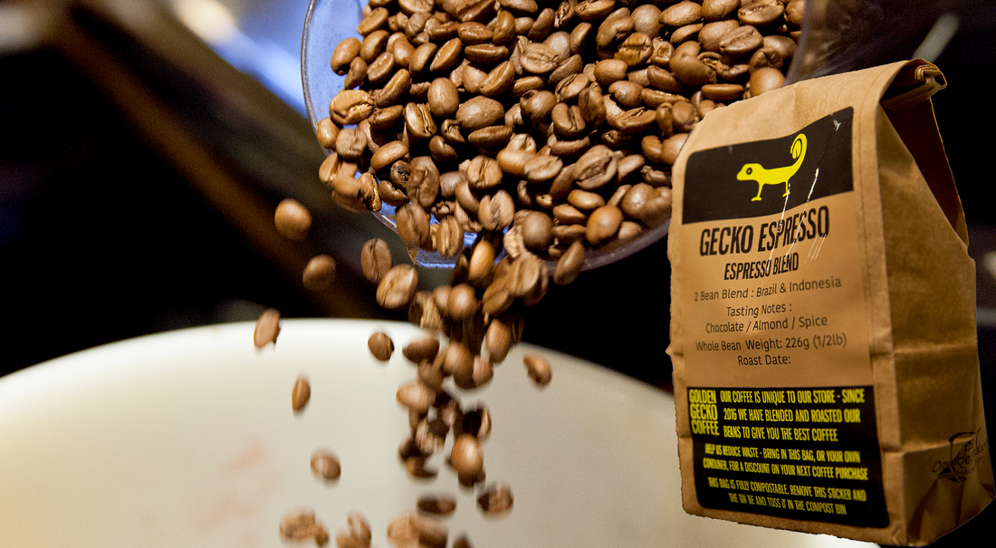 Golden Gecko Coffee | Specialty Coffee Shop in Toronto – Golden Gecko ...